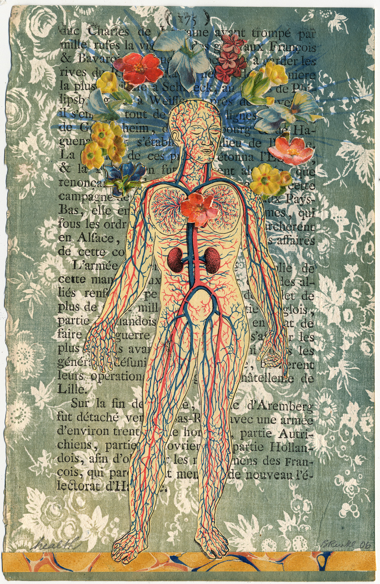 Health – Billy Renkl