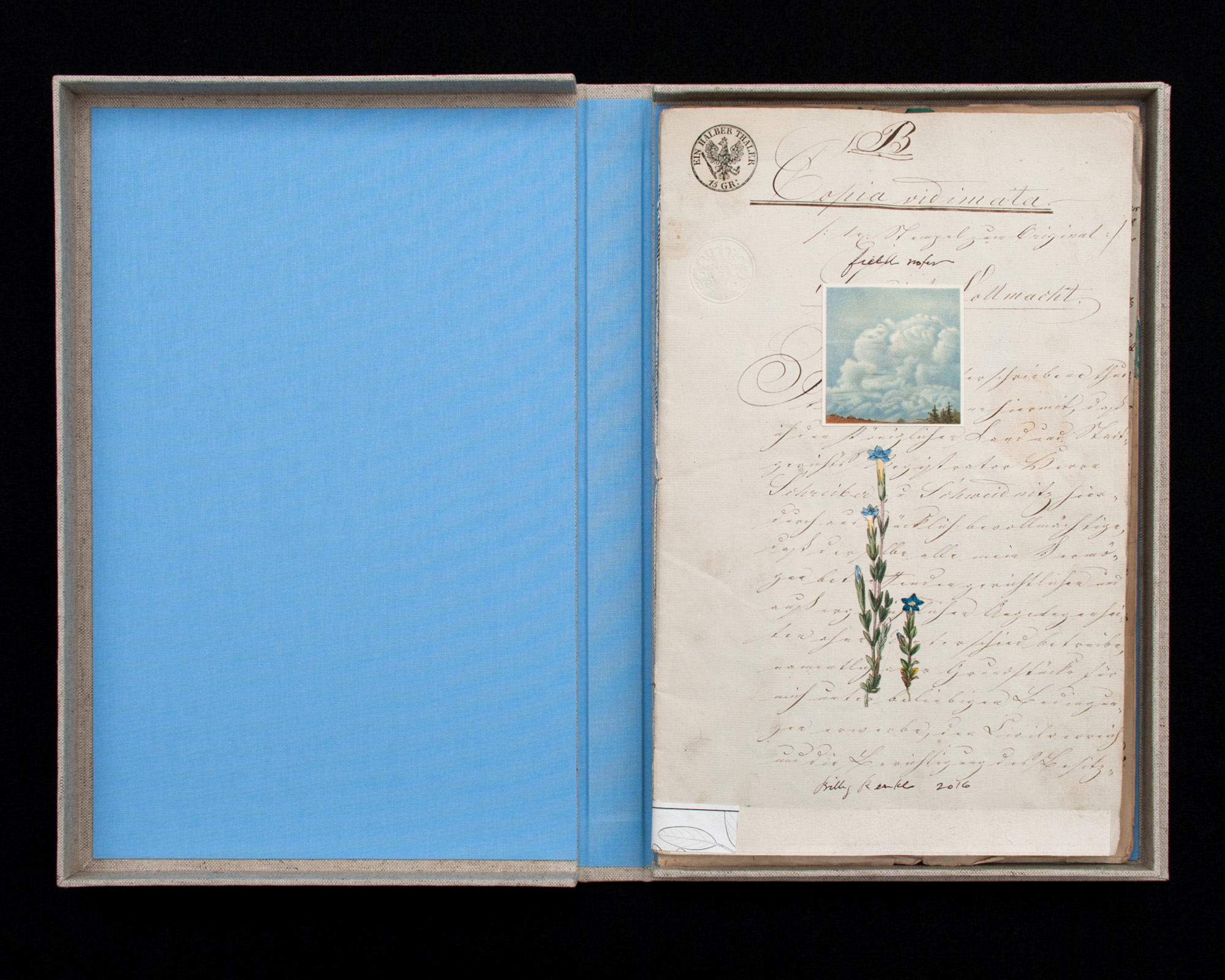 Field Notes – Billy Renkl