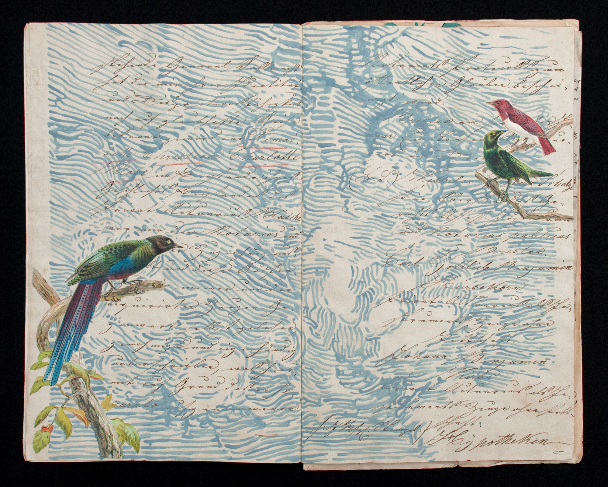 Field Notes – Billy Renkl