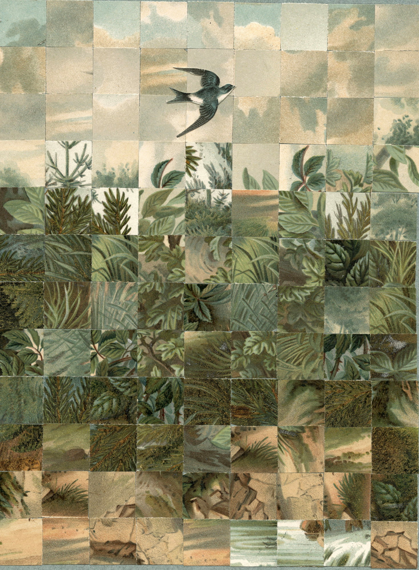 Ideal landscape #1 – Billy Renkl