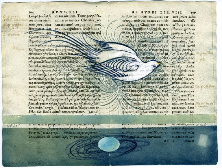 Nest Egg – Billy Renkl