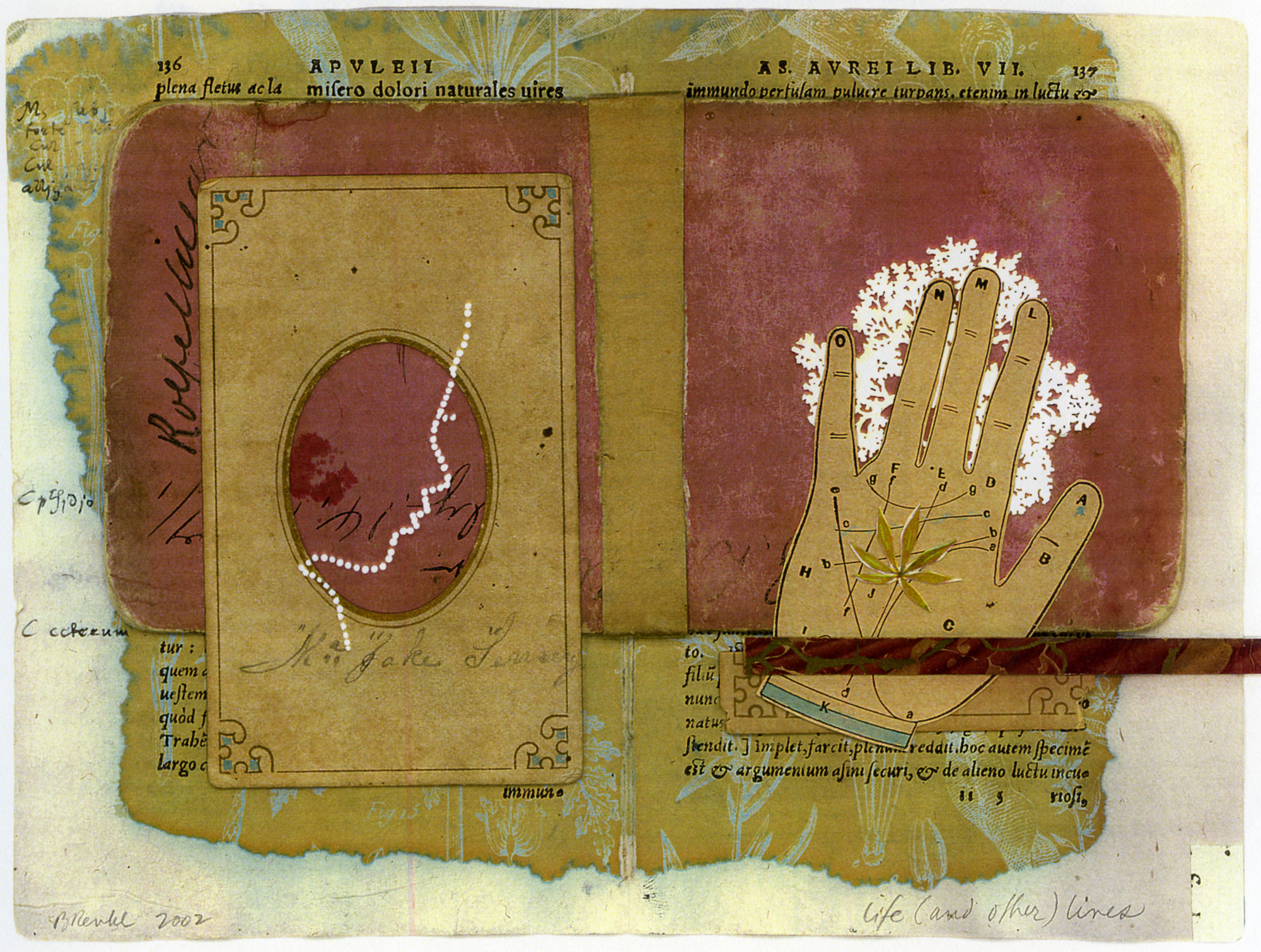 Life (and other) Lines – Billy Renkl