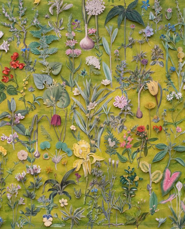 3D collage of botanical illustrations on mixed media background – Billy ...