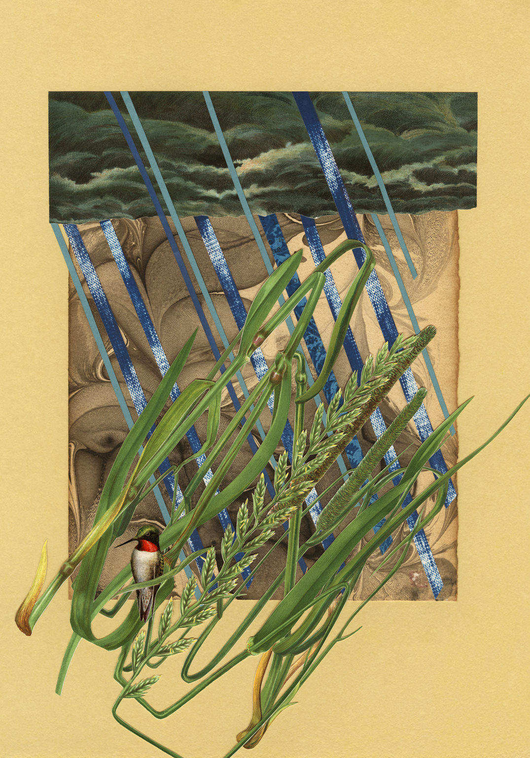 BR_Crow_Su13 – Billy Renkl