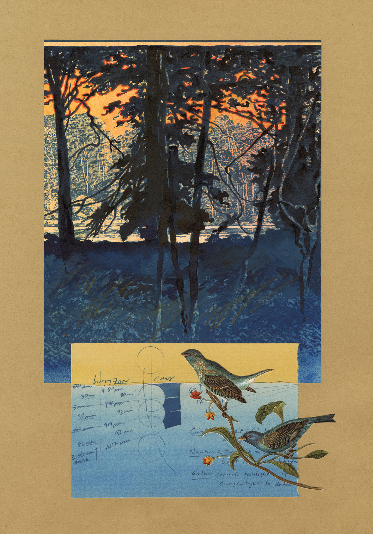 BR_Crow_F7 – Billy Renkl