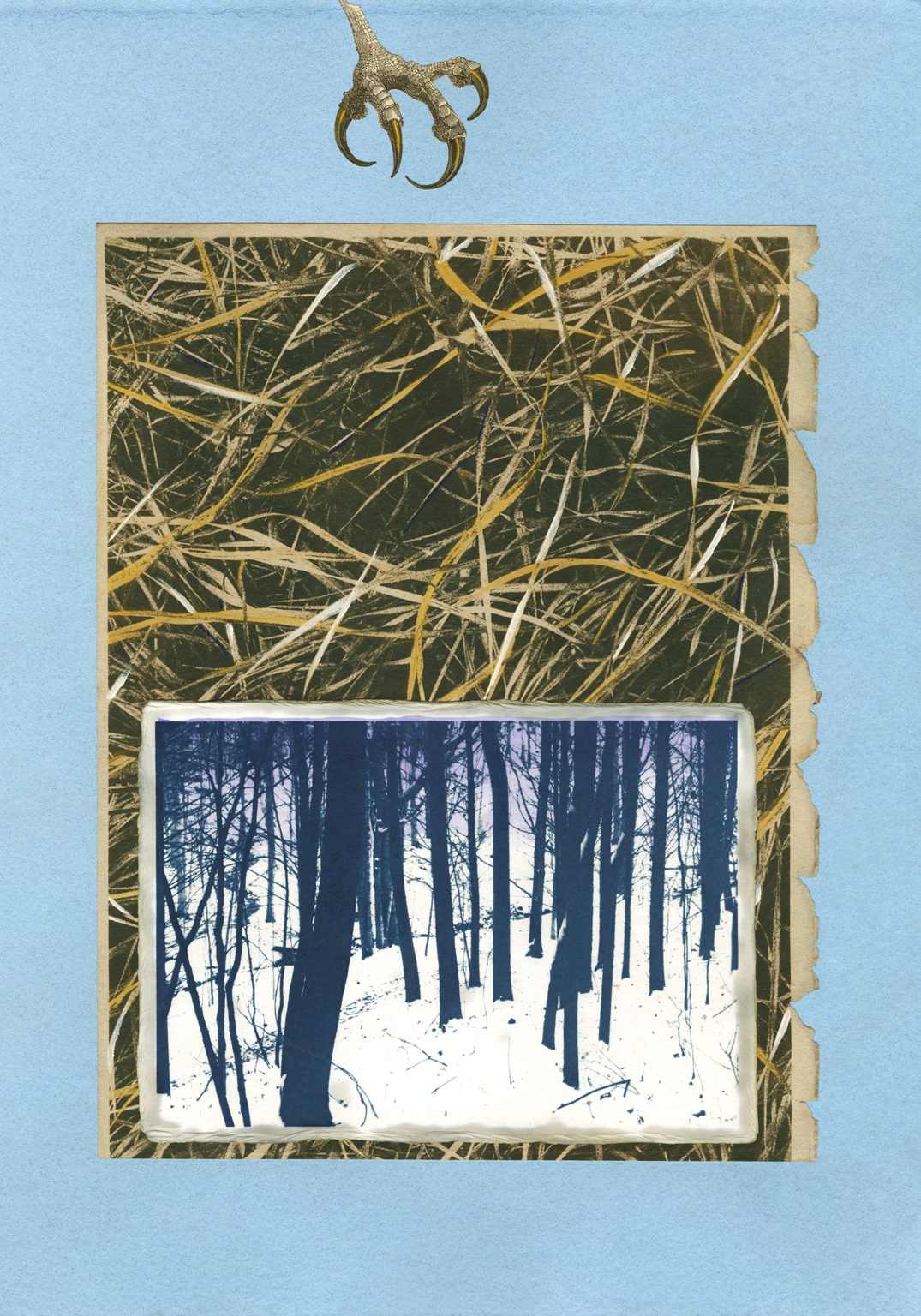 BR_Crow_W4 – Billy Renkl