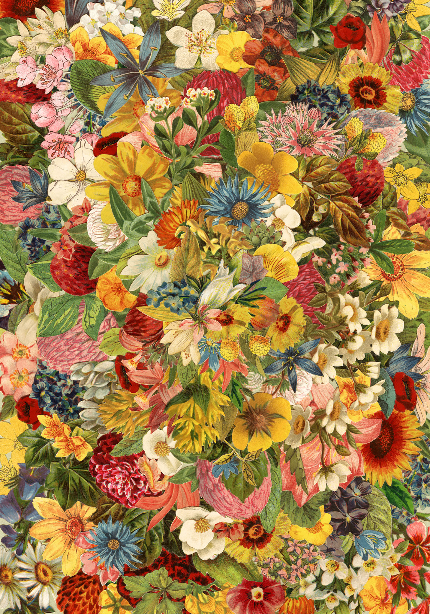 BR_Crow_Sp1X – Billy Renkl